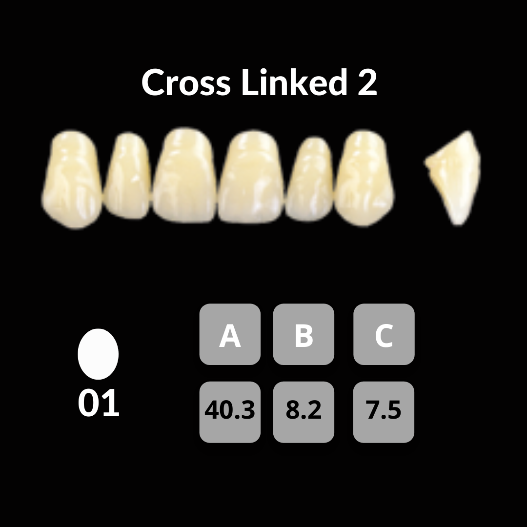 Polident CrossLinked2 Acrylic Teeth Shade C3 – Unique Dental Supply Inc.