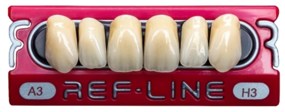 Polident Ref-Line Artificial Teeth Shade D4 – Unique Dental Supply Inc.